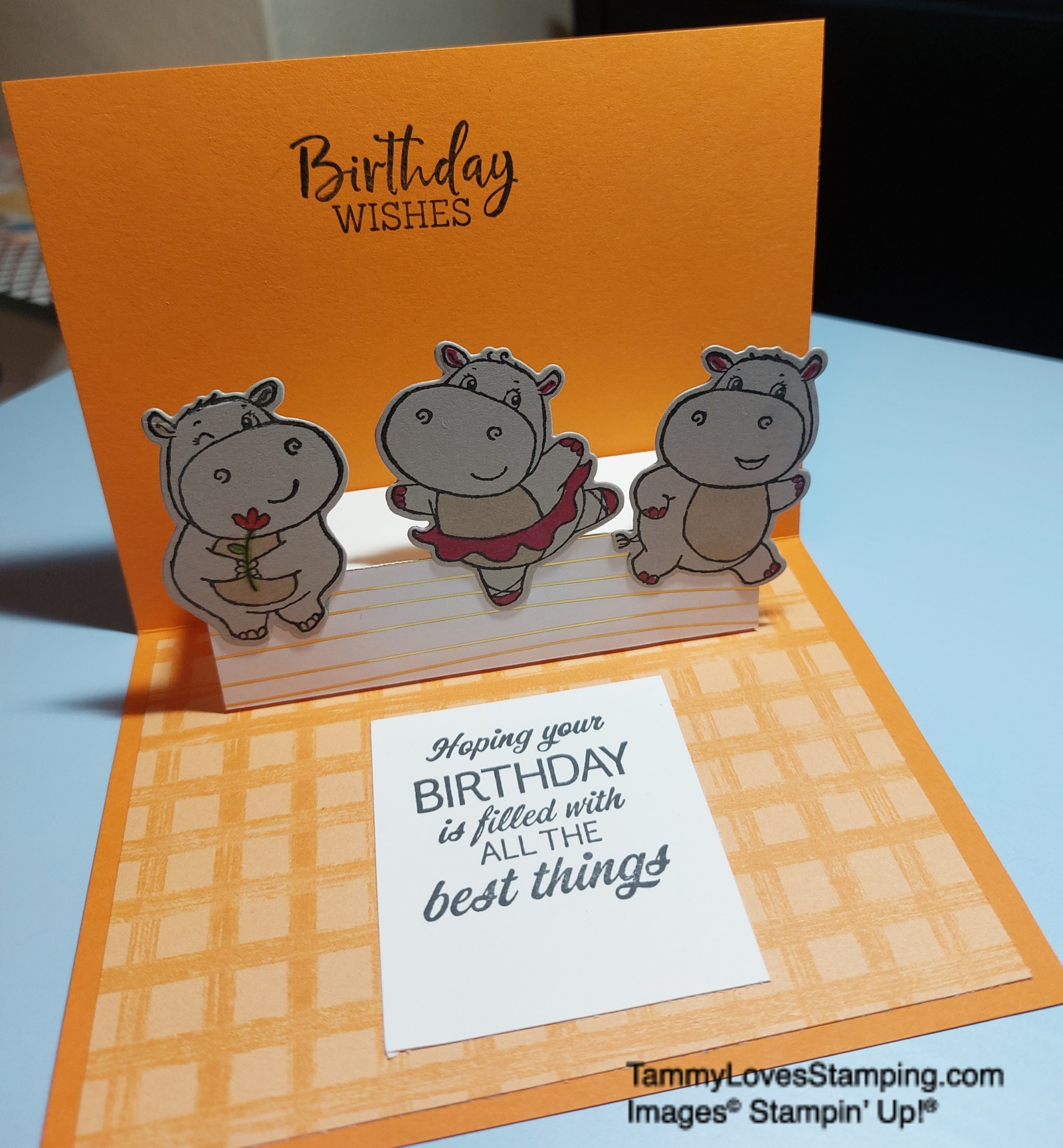 How To Make Pop Up Cards Tammy Loves Stamping