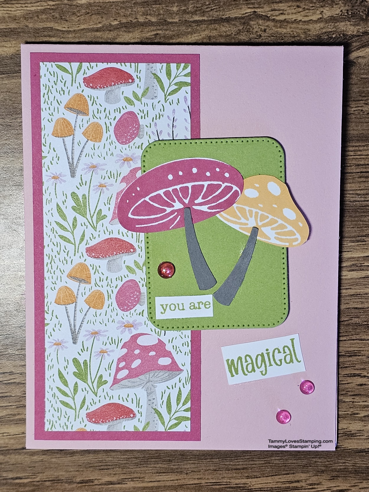 Terrific Toadstools Bundle is Toadally Adorable! - Tammy Loves Stamping